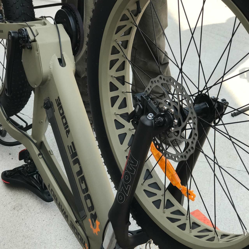 GO ROGUE! Rogue Ridge RB1000 electric mountain bike