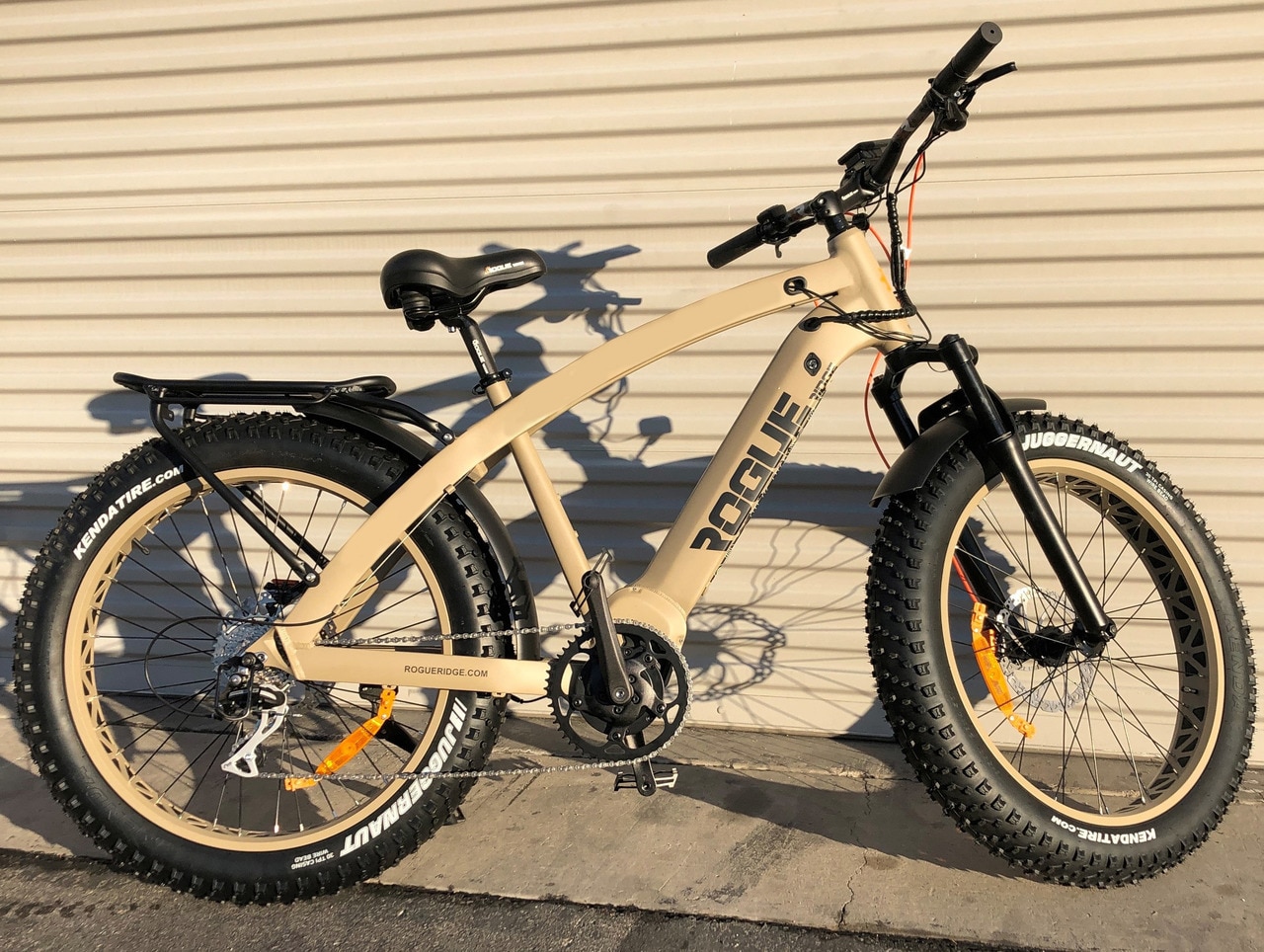 Rogie Ridge RG1000 E-Bike – Rogue Ridge