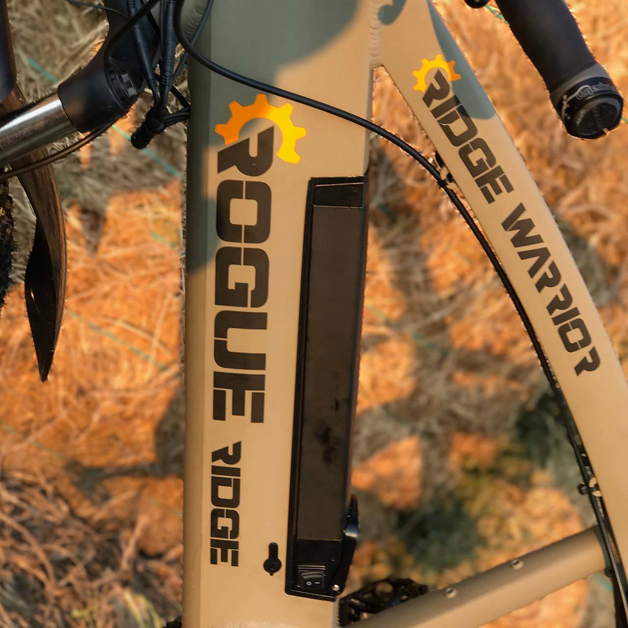 Rogie Ridge RM750 E-Bike – Rogue Ridge